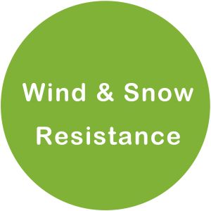Quality Wind And Snow Resistance Certification Artificial Ficus Tree for sale
