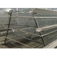 Quality 4 Tier 5 Doors Layer Chicken Cage 2300mm Width Poultry Layer Cage for sale