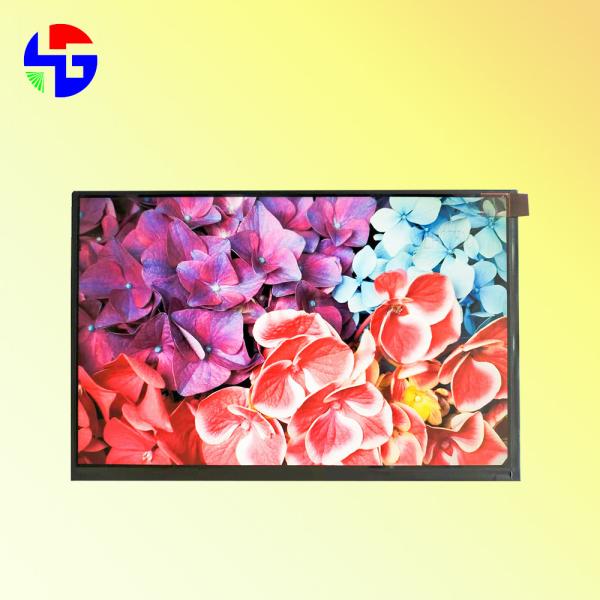 Quality TFT LCD Display Full View 10.1 Display 1280x800 High Resolution for sale