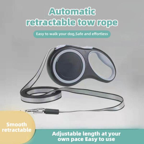 Quality Traction Rope Simple Style Dogs Adjustable pet Leashes multi-color wlking for sale