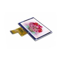 Quality 5 Inch 800x480 TFT LCD Display Module for sale