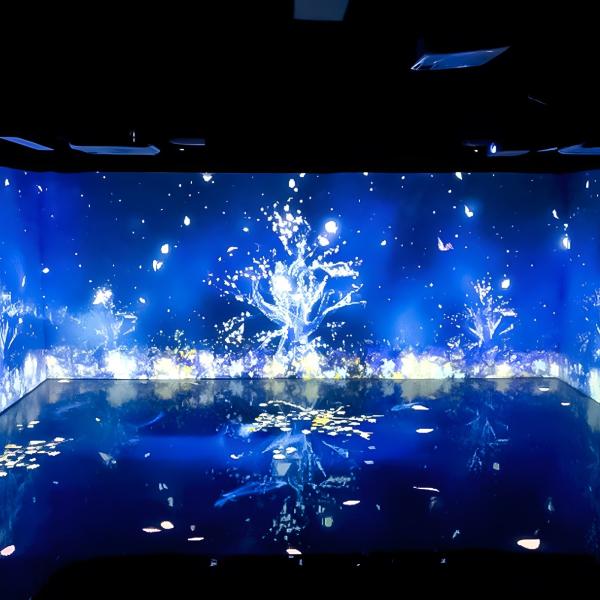 Quality Museum Interactive Wall Projection Immersive Projector 4/5/6 Channel for sale
