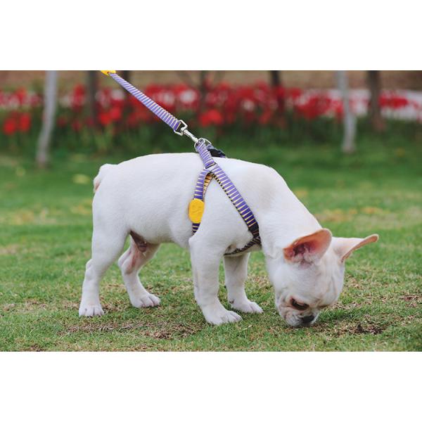 Quality Adjustable Polyester Dog Harness for sale