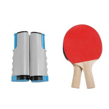 Quality Foldable Portable Ping Pong Net 20kg Ping Pong Ball Trainer Compact Table Tennis for sale
