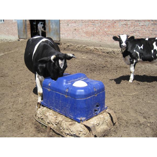 Quality LLDPE Livestock Water Trough for sale