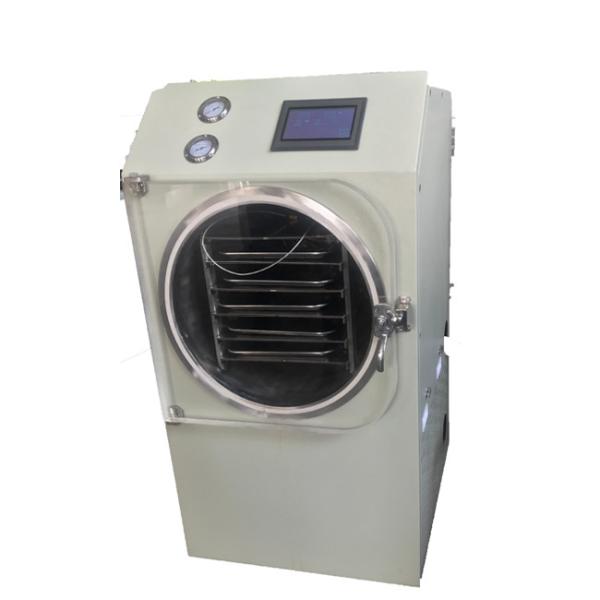Quality 0.4 Square Meters Mini Freeze Dryer For Vegetables Fruites for sale