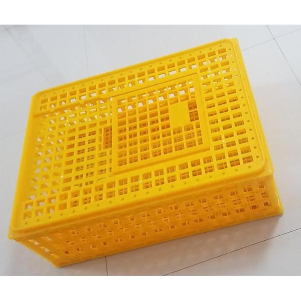 Quality Plastic baskets for poultry turnover（Red ，Orange，yellow ） for sale