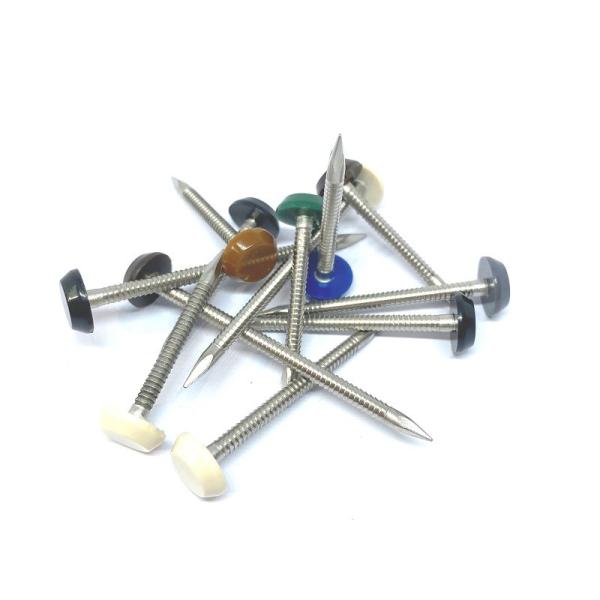 Quality OEM 65mm Plastic Head Nails , Outside Construction And Building Nails for sale