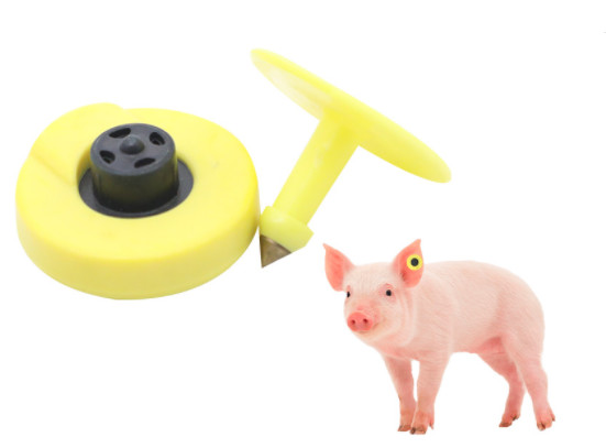 Quality Waterproof Rfid Cattle Ear Tags TPU Low Frequency For Dog Sheep Pig for sale