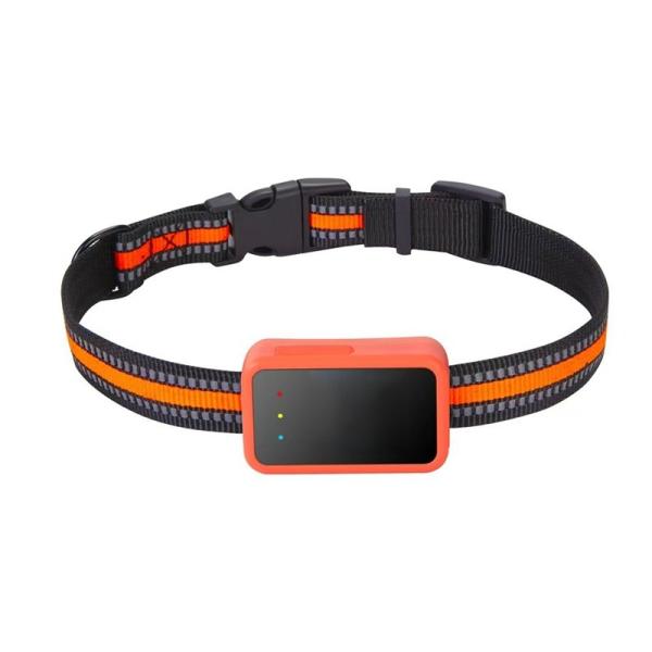Quality Real Time Tracking Dog Cat GPS Tracker Collar Global Coverage Waterproof Pet for sale