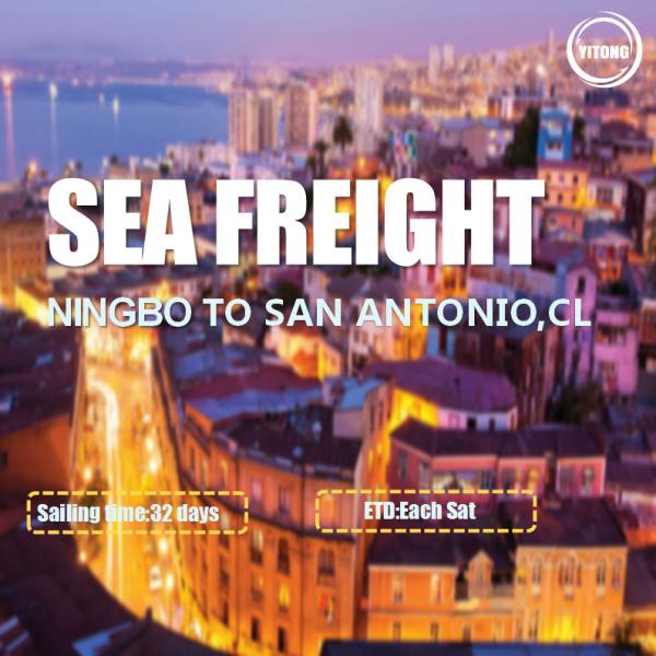 Quality International Sea Freight From Ningbo To San Antonio Chile South America for sale