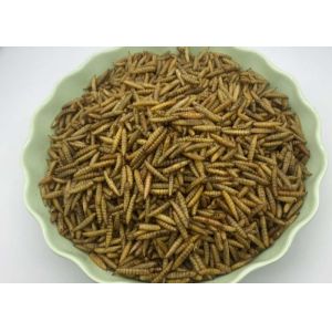 Quality Dried Black Soldier Fly for sale