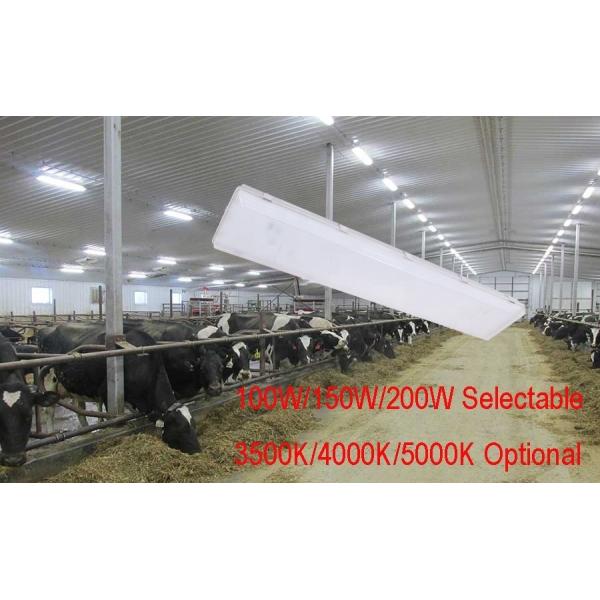 Quality 100W 3500K 4FT LED Vapor Tight Light Fixture with Transparent Polycarbonate for sale
