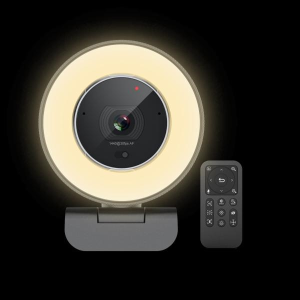 Quality Automatic High Definition Webcam With Built In 2pcs Microphone 30fps 60fps Frame for sale