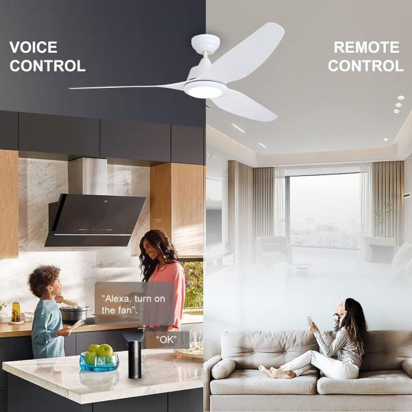 Quality 56 Inch Silent Ceiling Fan with DC Motor and Lighting for sale