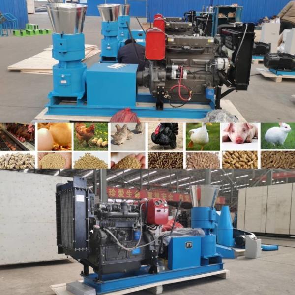 Quality Pig Sheep Poultry Feed Maker Chicken Cattle Cow Feed Pellet Maker for sale