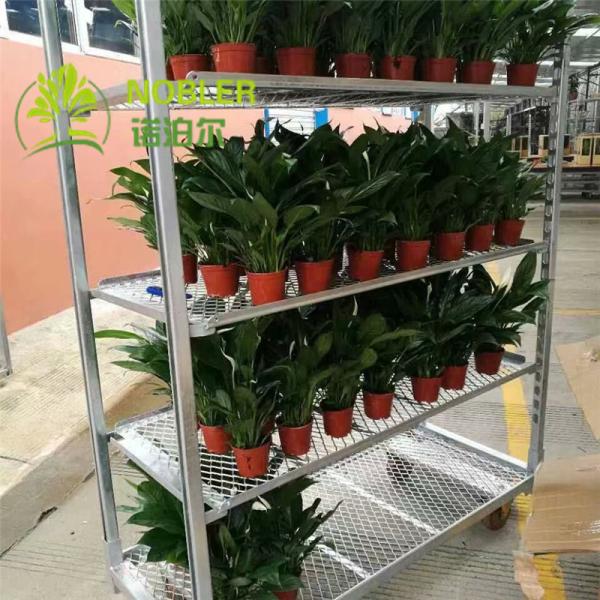 Quality Q235 Dutch Trolley Shelves for sale