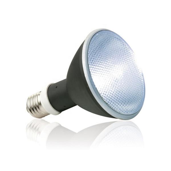 Quality Sustainable Full Spectrum UVB Reptile HID Lamps Grade A PAR30 for Jungle and Desert Environments for sale