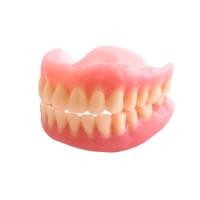 Quality Life Materials Engineering Information Technology Denture Dental Lab for sale