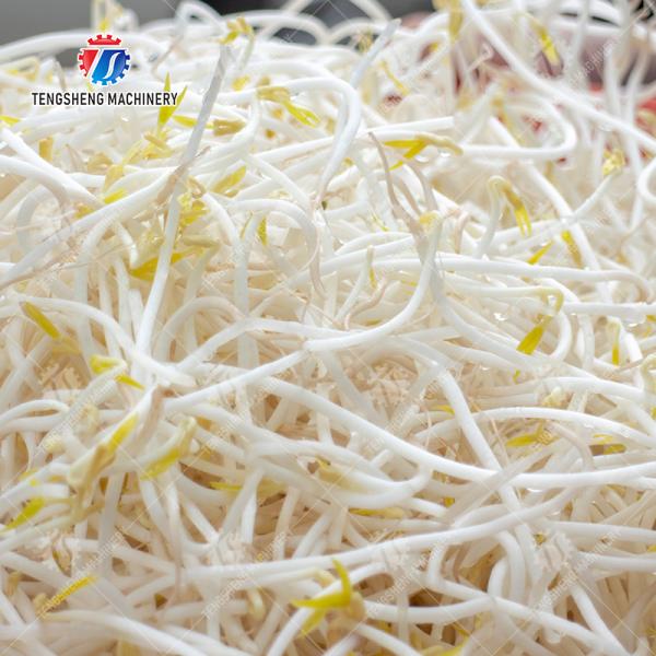Quality Single cylinder fruit and vegetable washing machine with slag separator Leaves for sale