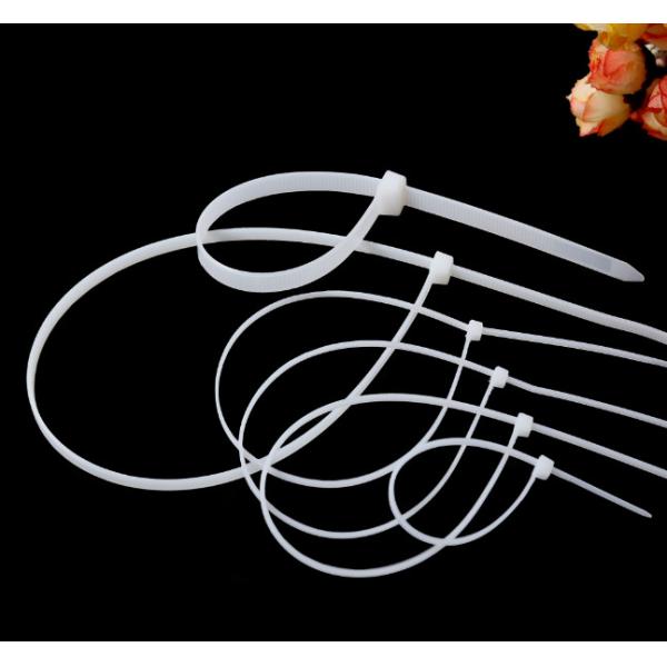 Quality Nylon Cable Tie 4 Series Self Locking Cable Tie Plastic cable tie Cable Tie for sale