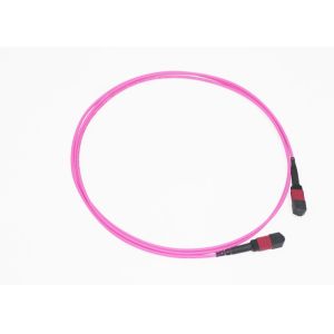 Quality 3.0mm 12 Cores Fiber Optic MPO MTP Cable / OFNP Om4 Patch Cord Red Color for sale