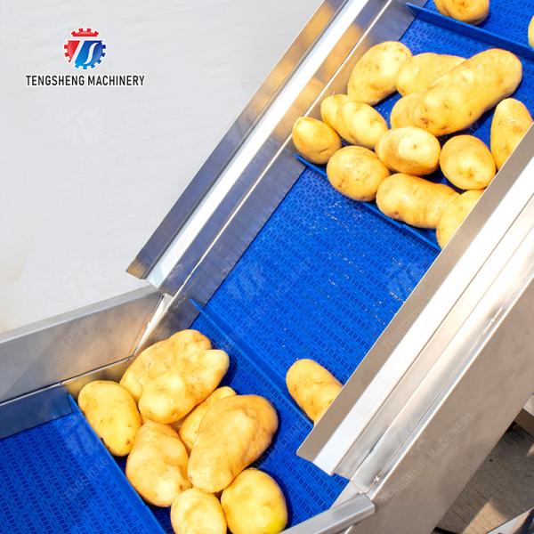 Quality Brush washing and hoisting production line Ginger Potato Carrot Taro Sweet for sale