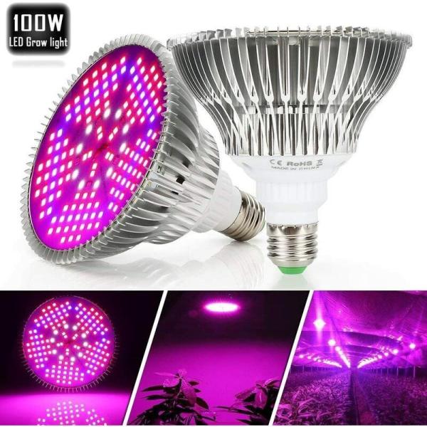 Quality E27 100w Led Grow Light Full Spectrum Lamp Bulb For Veg Flower for sale