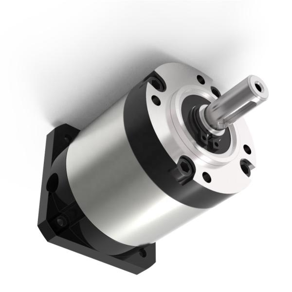 Quality 42mm Two Stage Planetary Gearbox for sale