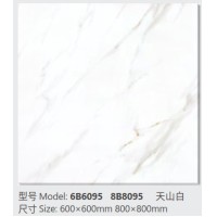 Quality Frost Resistant Glazed Porcelain Tile Rectangular 600 * 600mm for sale