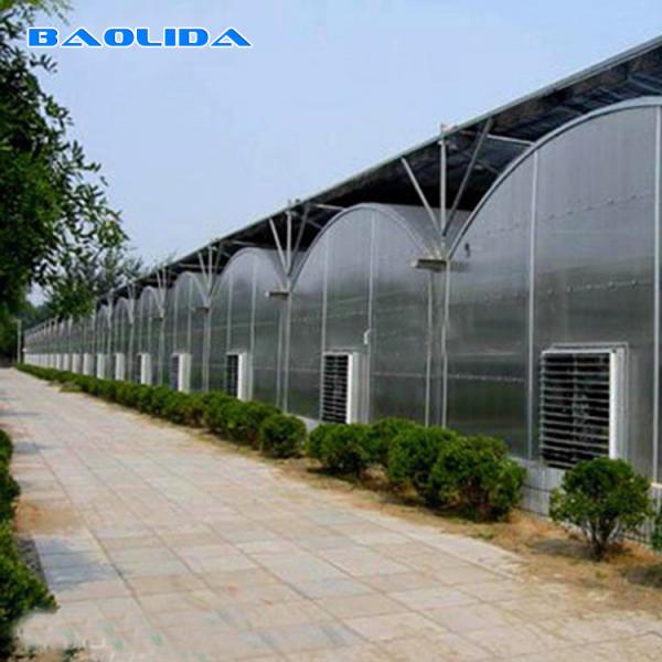 Quality PE Film Covering Heavy Duty Plastic Greenhouse / Prefabricated Poly Tech for sale