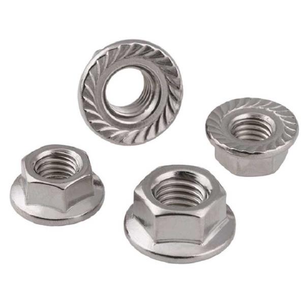 Quality M3-M16 Stainless Steel Serrated Flange Nuts for sale