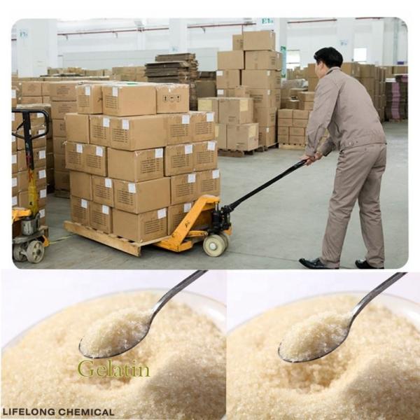 Quality Yellowish Animal Skin Industrial Gelatin Powder For Adhesive Agent for sale