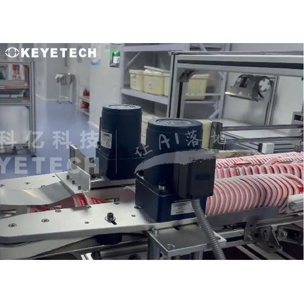 Quality AI Based Camera Inspection Machine Before IML Cup Loading and Stacking for sale