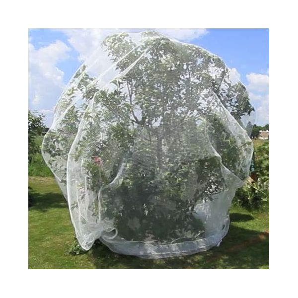 Quality 40mesh Anti Insect Net Bags, High Density Agricultural Anti Wind Net Plant Net Bags for sale