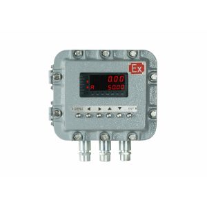 Quality Electronic Weighing Indicator Explosion Proof For Loss - In - Weight Ration for sale