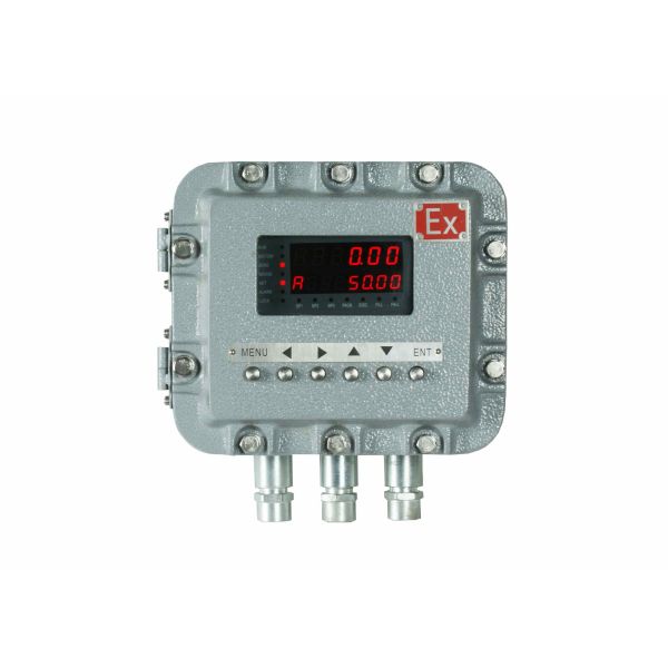 Quality Electronic Weighing Indicator Explosion Proof For Loss - In - Weight Ration Packing Scale for sale