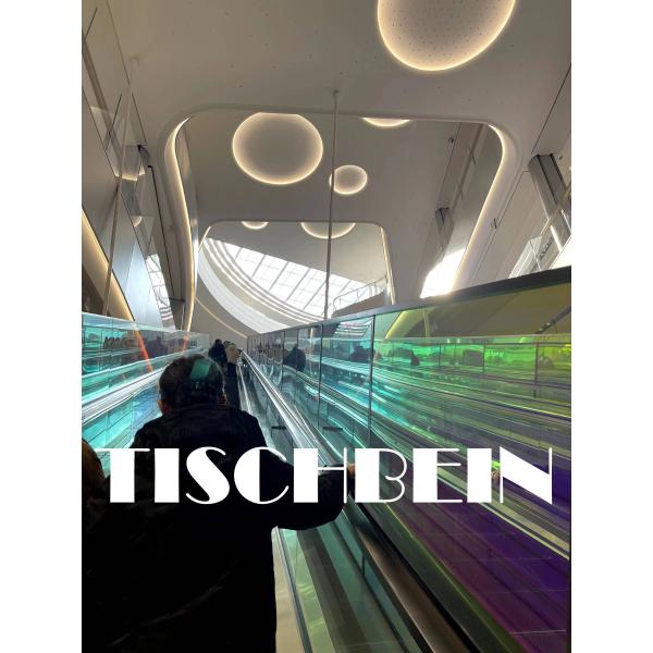 Quality 600mm Hotel Escalator for sale