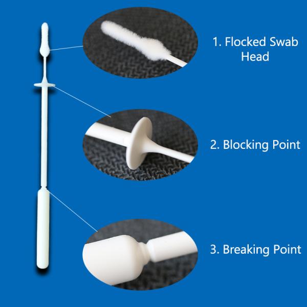 Quality Portable Nylon Disposable Sampling Swab Medical Sterile Swab for sale