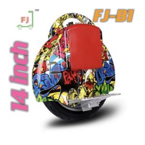 Quality ELECTRICSCOOTERCHINA.COM one wheel FJ-B1 14INCH self balancing e scooter china for sale