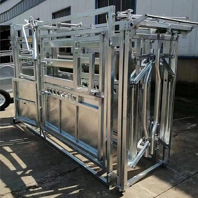Quality Customized Cattle Head Crush Galvanized Cattle Clipping Crush for sale