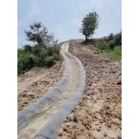Quality Cement Sand Concrete Erosion Mat GCCM Blanket Rolls For Ditch Lining for sale