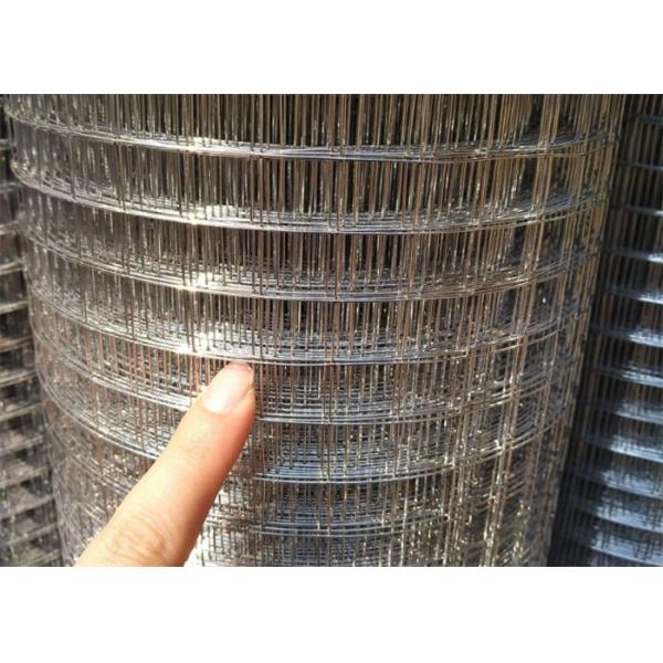Quality 1/4 Inch PVC Coated Welded Wire Mesh Rolls , Architectural Wire Mesh For Green for sale