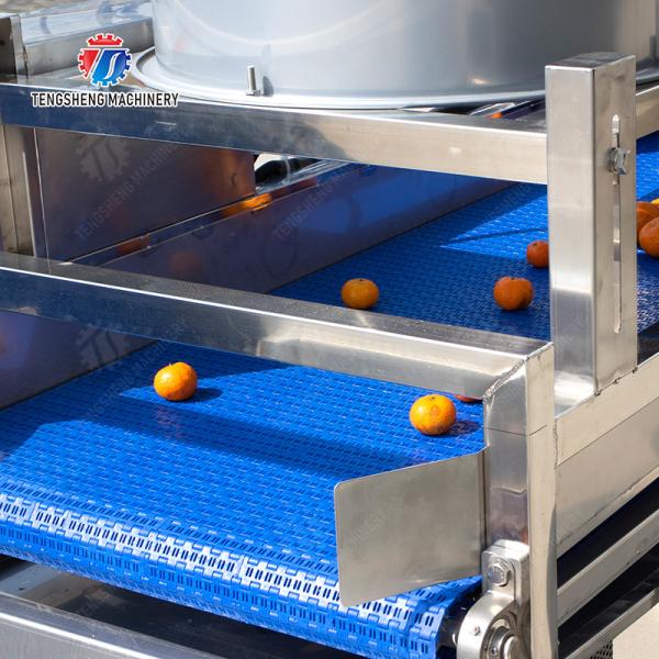 Quality vegetable drying equipment Fruit and vegetable selection washing and drying for sale