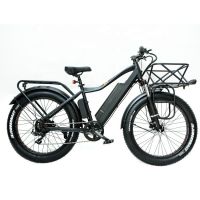 Quality 52V 1000W Bafang Motor 17AH Lithium 55KM/H Rear Hub Snow Fat Tire Mountain for sale