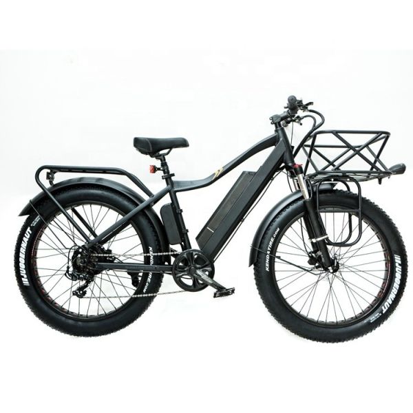 Quality 52V 1000W Bafang Motor 17AH Lithium 55KM/H Rear Hub Snow Fat Tire Mountain Electric Bike for sale