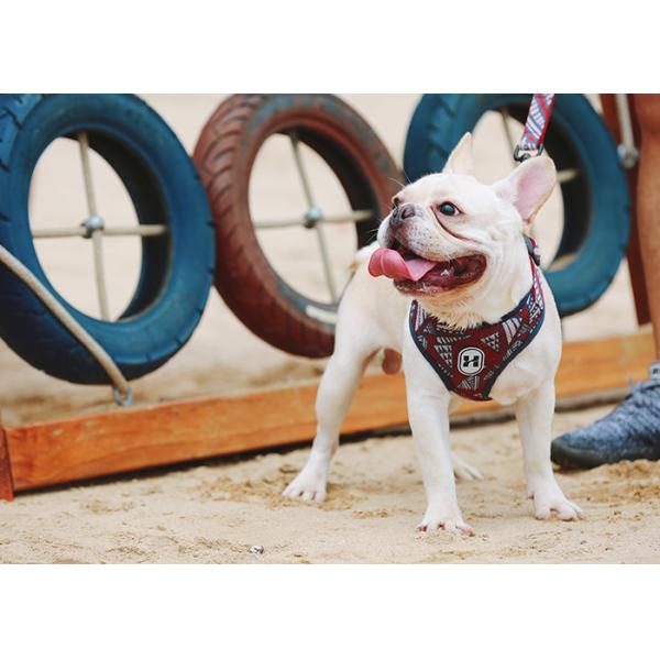 Quality Extra Small Dog Walking Harness Reflective Soft Padded Easy Walk Harness for sale