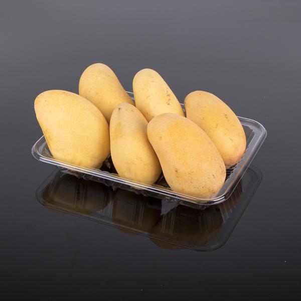 Quality Recycled Disposable 20*15*3cm Disposable Fruit Tray for sale