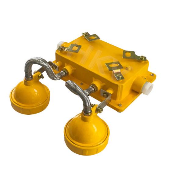 Quality Rechargeable Explosion Proof Emergency Light With Double Emergency Light for sale