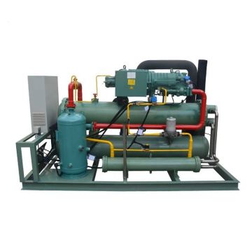 Quality HSN7451-60 refrigeration screw compressor condensing unit for sale